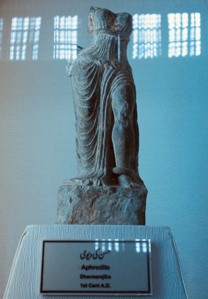 The Remains of Buddha in Taxila – BAGICHA