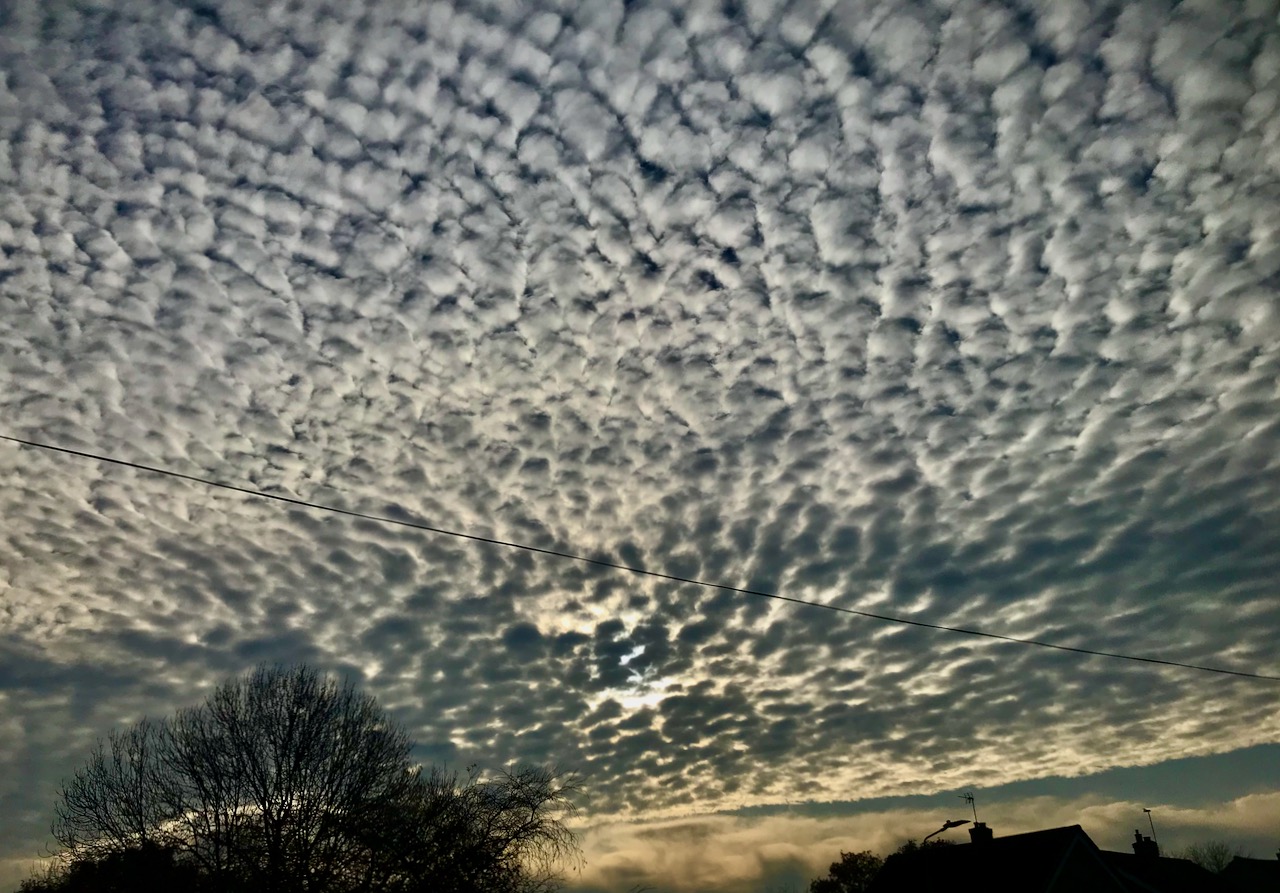 Mottled Dawn – Subh-e Azadi | BAGICHA